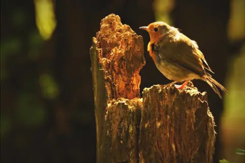 Your pictures of Scotland: 18-25 August