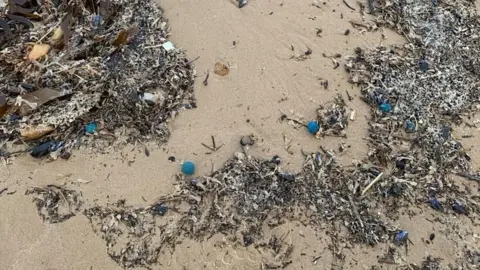 Hartlepool power station balls prompt beach survey