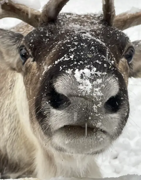 Your pictures of Scotland: 7 - 14 January