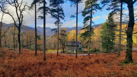 Your Pictures: North East and Cumbria painted in autumn colours