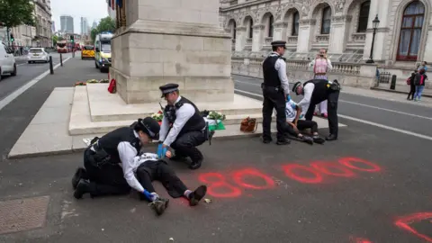 Two women arrested over Gaza protest at Cenotaph