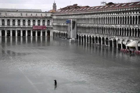 Venice floods: Climate change behind highest tide in 50 years, says mayor