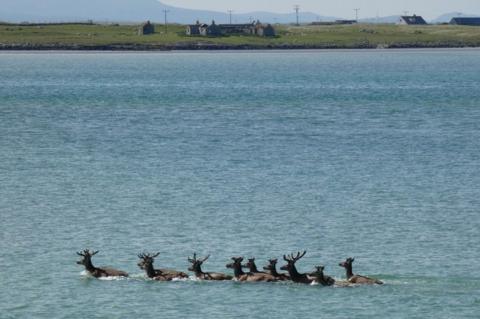 Your pictures of Scotland: 9 to 16 June - BBC News