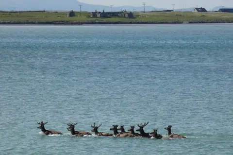 Your pictures of Scotland: 9 to 16 June