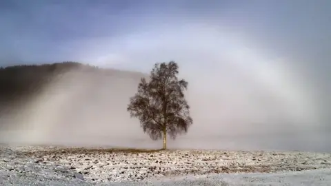 Your pictures of Scotland: 7 - 14 January