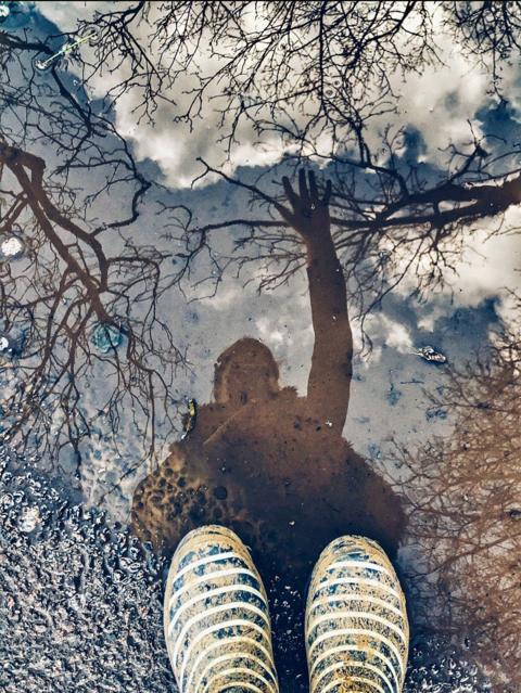 Coronavirus: Your pictures on the theme of 'reflections' - BBC News