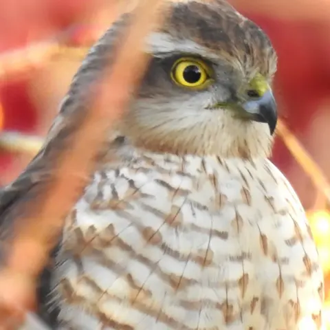 Your pictures of Scotland 13 - 20 November