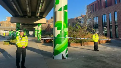 Teens, 13 and 19, guilty of Nottingham skate park brick murder