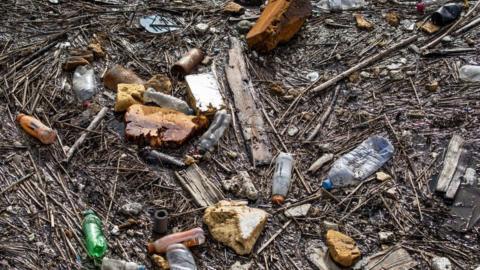 Nature loss: Watchdog highlights 'precarious state' of environment ...