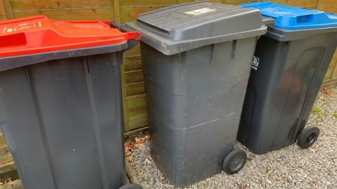 Dumfries and Galloway Council vows clarity on bank holiday bin ...