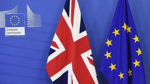 Brexit and the Irish border: The experts' verdict - BBC News