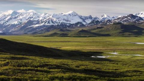 Warmer Arctic is the 'new normal' - BBC News