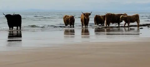 Your pictures of Scotland: 20 - 27 May