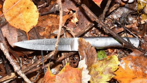 Southampton man jailed for revenge murder of ex-partner's mum - BBC News