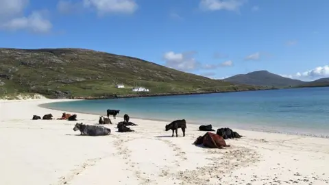 Your pictures of Scotland: 28 July to 4 August