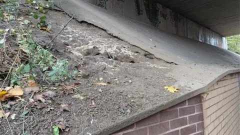 Oxford: Concerns raised over rat infestation under bridge