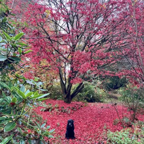 Your pictures of Scotland 23 - 30 October