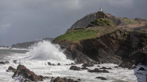 Storm Noa: Power cuts and trees down in Devon and Cornwall - BBC News
