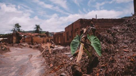In pictures: Brazil dam burst aftermath - BBC News