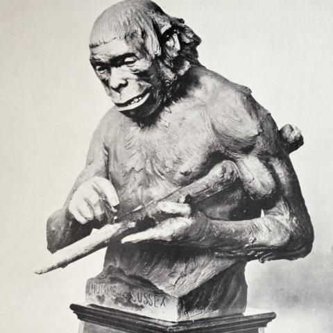 Piltdown review points decisive finger at forger Dawson - BBC News