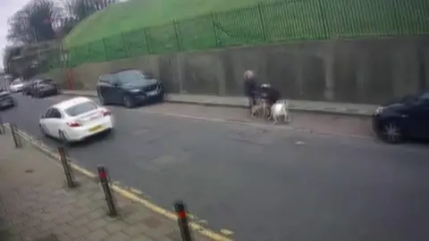 Rochester dog attack prompts police investigation