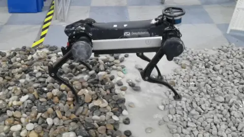 Puppy training a robotic dog points to the future