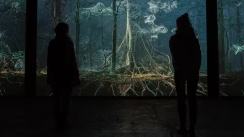 Art: Immersive nature exhibition opens in Oxo Tower