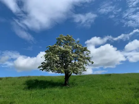 Your pictures of Scotland 4 June - 11 June