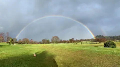 Your pictures of Scotland: 8 - 15 February