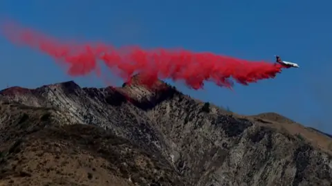 Ringleader of global monkey torture network, 'The Torture King', is charged