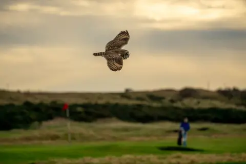 Your pictures of Scotland: 15 - 22 December