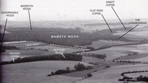 Mametz Wood and the 38th: 'What dark convulsed cacophony' - BBC News