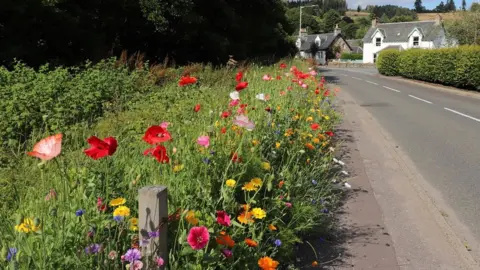 Your pictures of Scotland: 6 - 13 August