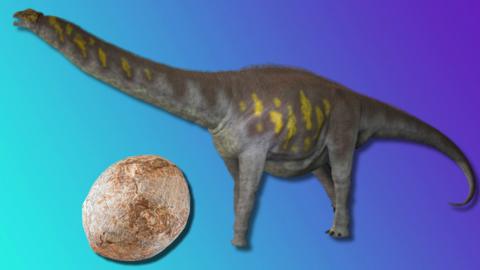 Fossil of giant prehistoric fish with deadly fangs found in South ...