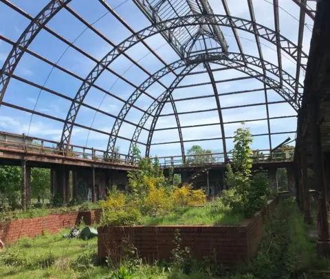 Springburn Winter Gardens: What next for the glasshouse in ruins for 40 ...