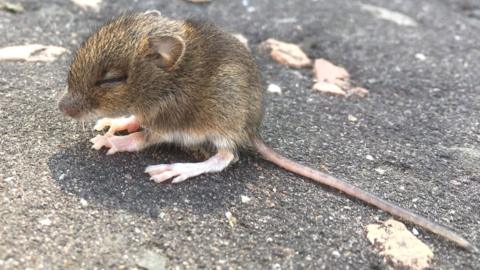 Your pictures of Scotland 19 - 26 June - BBC News