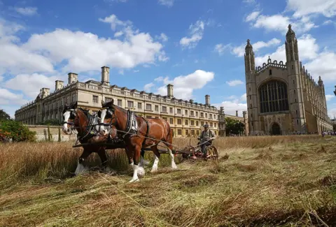 Week in pictures: 20 - 26 August 2022