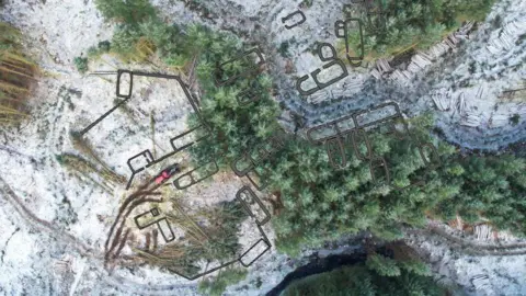 Ruined Skye township found under 1970s tree plantation