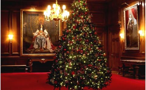 In pictures: Scotland's amazing Christmas trees - BBC News