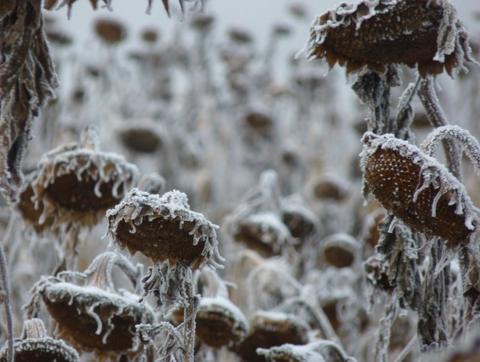 Your pictures: Cold weather - BBC News