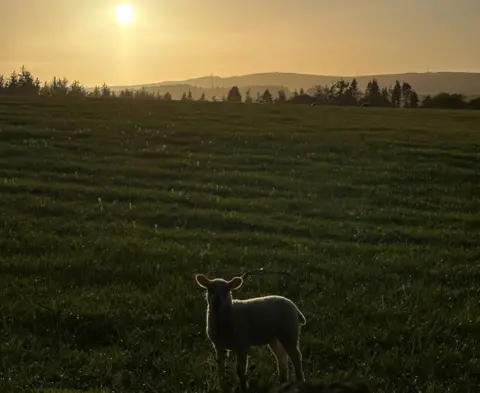 Your pictures of Scotland: 19 - 26 May