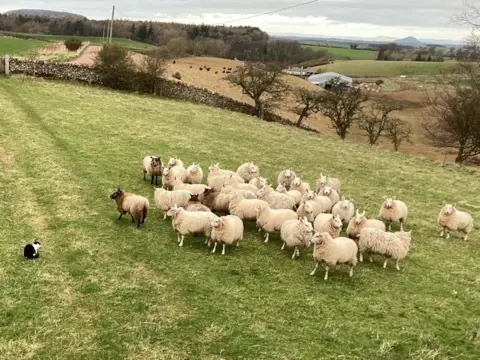 Your pictures of Scotland 26 March - 2 April