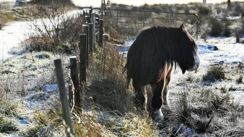 Northern Ireland cold snap to continue into Saturday - BBC News