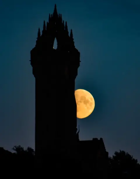 Your pictures of Scotland: 13 - 20 August