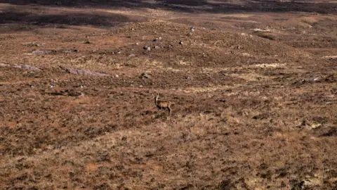 Your pictures of Scotland: 29 March - 5 April