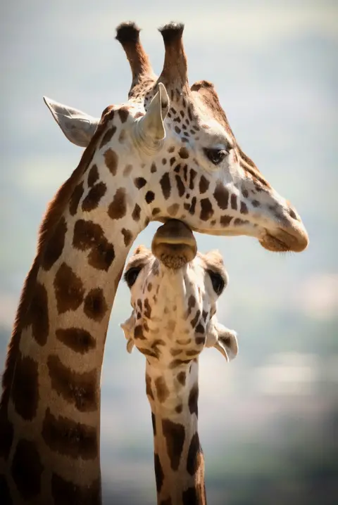 Your pictures of Scotland 23-30 July