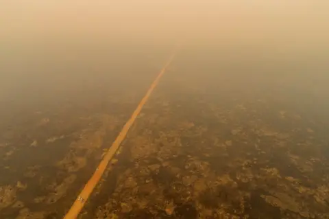Forest fires devastate Brazil's Pantanal tropical wetlands