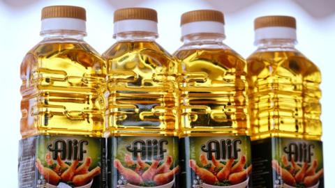 Lab-grown alternatives aim to cut palm oil dependence - BBC News