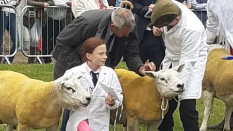 Hutton Buscel family left devastated as pet sheep are stolen from farm