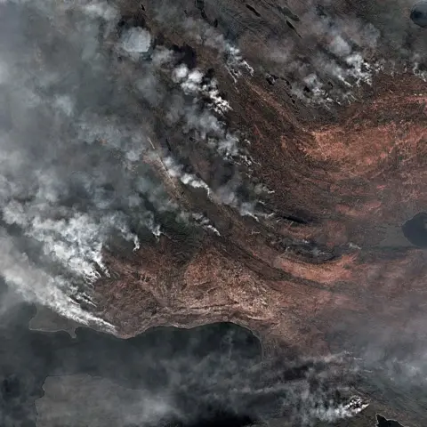 'Unusual' Greenland wildfires linked to peat